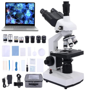 6 Most Affordable Electron Microscopes - Medical Equipment Insider