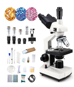 6 Most Affordable Electron Microscopes - Medical Equipment Insider