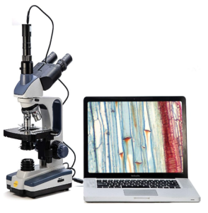 6 Most Affordable Electron Microscopes - Medical Equipment Insider